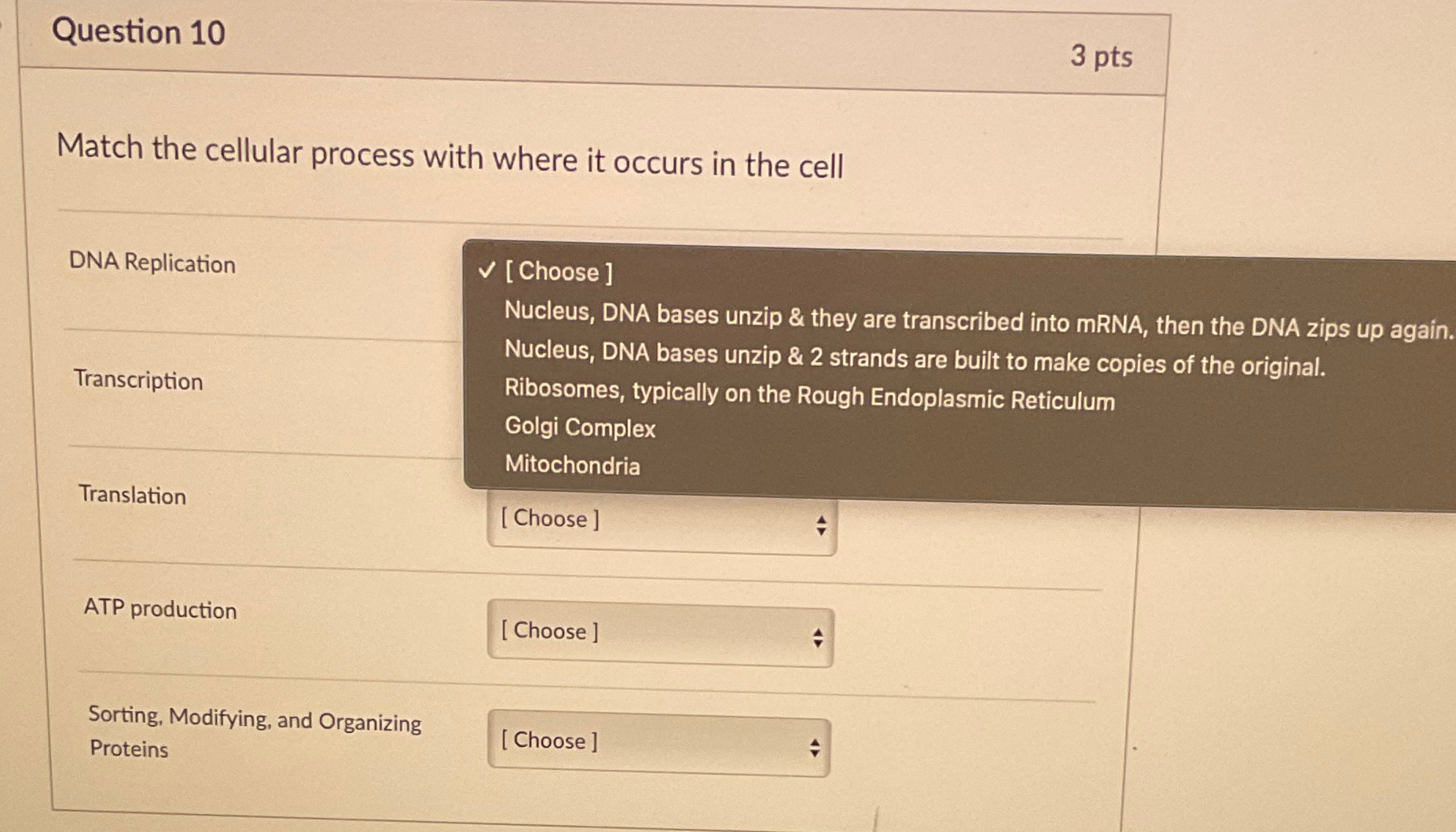 Solved Question 103 ﻿ptsMatch the cellular process with | Chegg.com