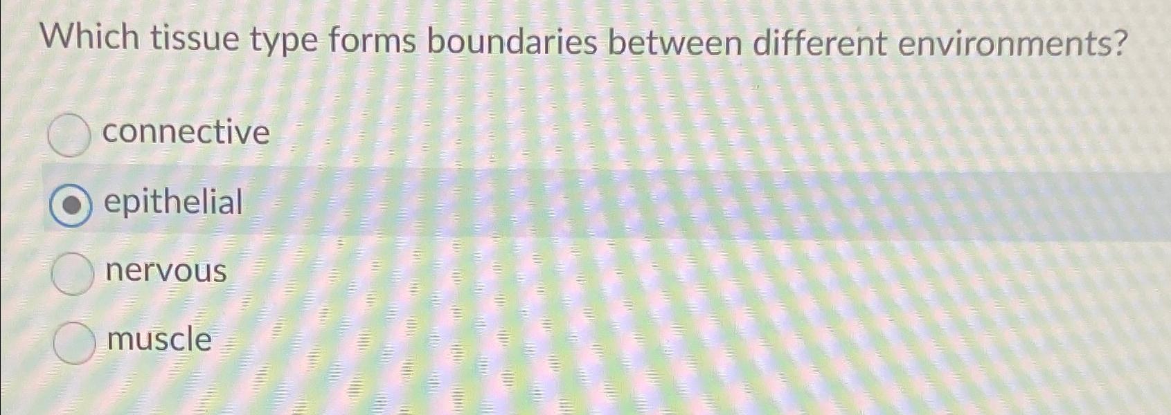 Solved Which tissue type forms boundaries between different | Chegg.com