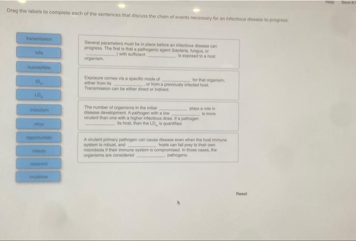 Solved Drag the labels to complete each of the sentences | Chegg.com