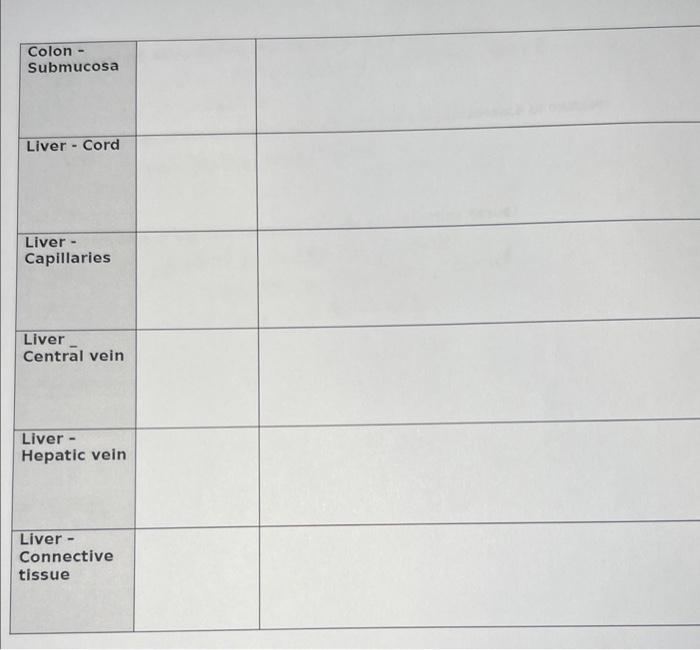 Data table Tissue type Duodenum - Mucosa Duodenum - | Chegg.com
