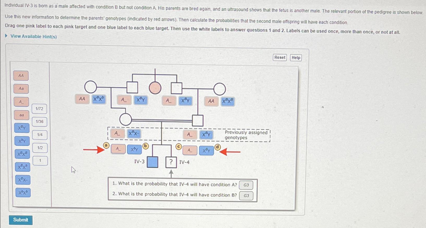 Solved Use this new information to determine the parents' | Chegg.com