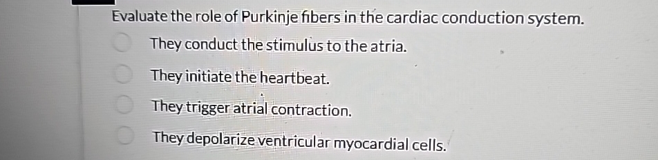 Solved Evaluate the role of Purkinje fibers in the cardiac | Chegg.com
