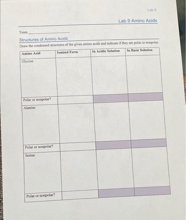 Solved Lab Lab 9 Amino Acids Team Structures of Amino Acids | Chegg.com