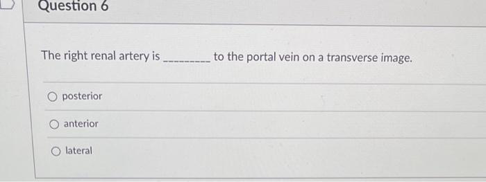 Solved The right renal artery is to the portal vein on a | Chegg.com