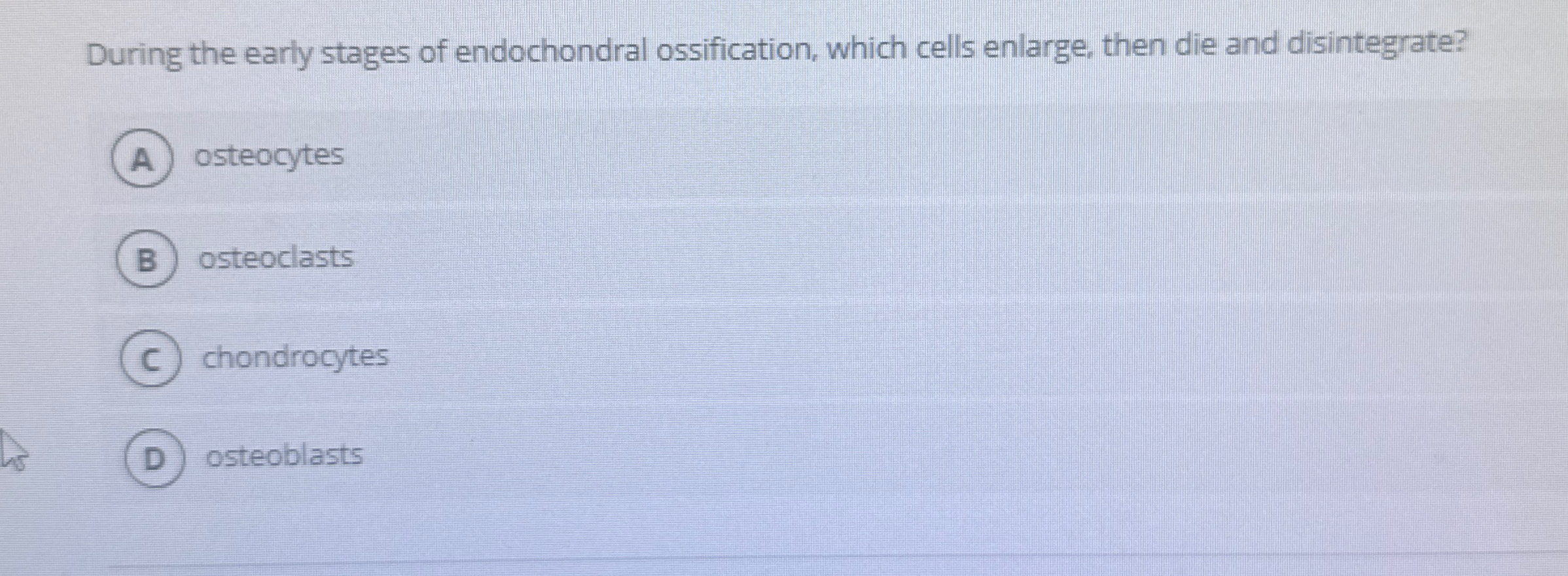 Solved During the early stages of endochondral ossification, | Chegg.com