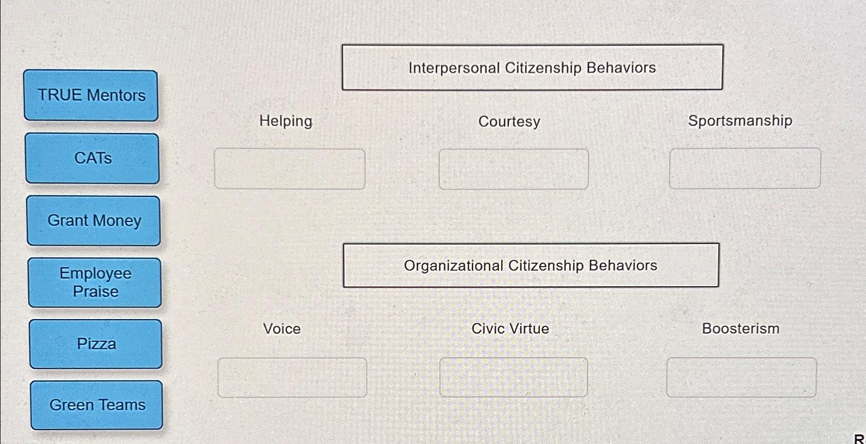 Solved Interpersonal Citizenship | Chegg.com
