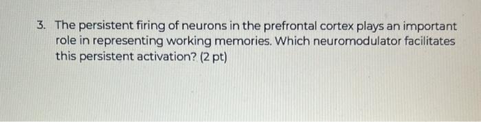 Solved The persistent firing of neurons in the prefrontal | Chegg.com