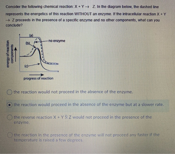 Solved Consider the following chemical reaction: X + Y → Z. | Chegg.com