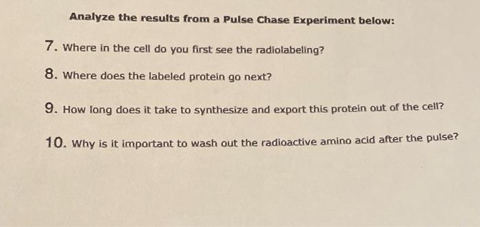 Solved Analyze the results from a Pulse Chase Experiment | Chegg.com