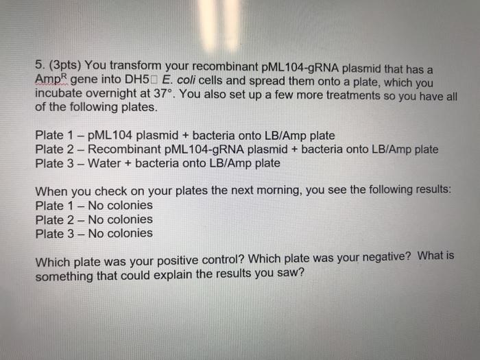 Solved 5. (3pts) You transform your recombinant PML 104-gRNA | Chegg.com