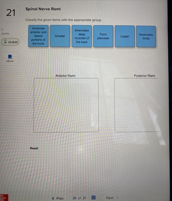 Solved Spinal Nerve Rami 21 Classify the given items with | Chegg.com