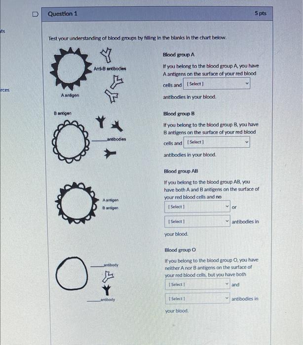 Solved D Question 2 Test your understanding of blood groups | Chegg.com