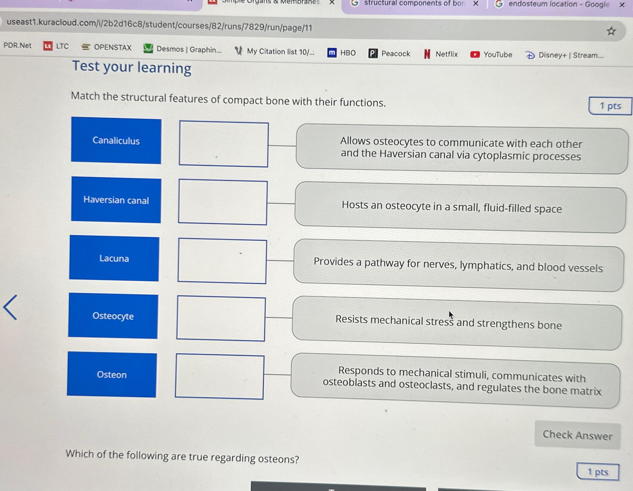 Solved structural components of borendosteum location - | Chegg.com