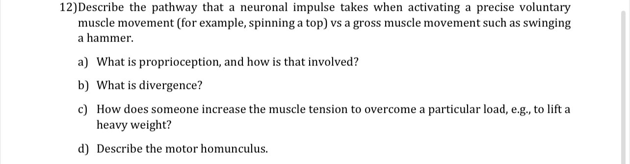 Solved Describe the pathway that a neuronal impulse takes | Chegg.com