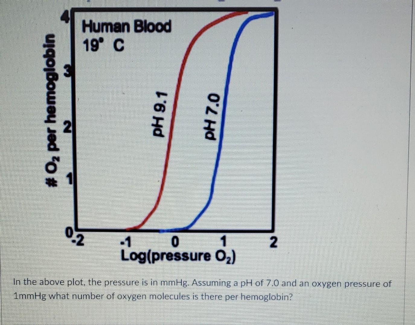 Solved Human Blood 19° C #O, per hemoglobin pH 9.1 pH 7.0 2 | Chegg.com
