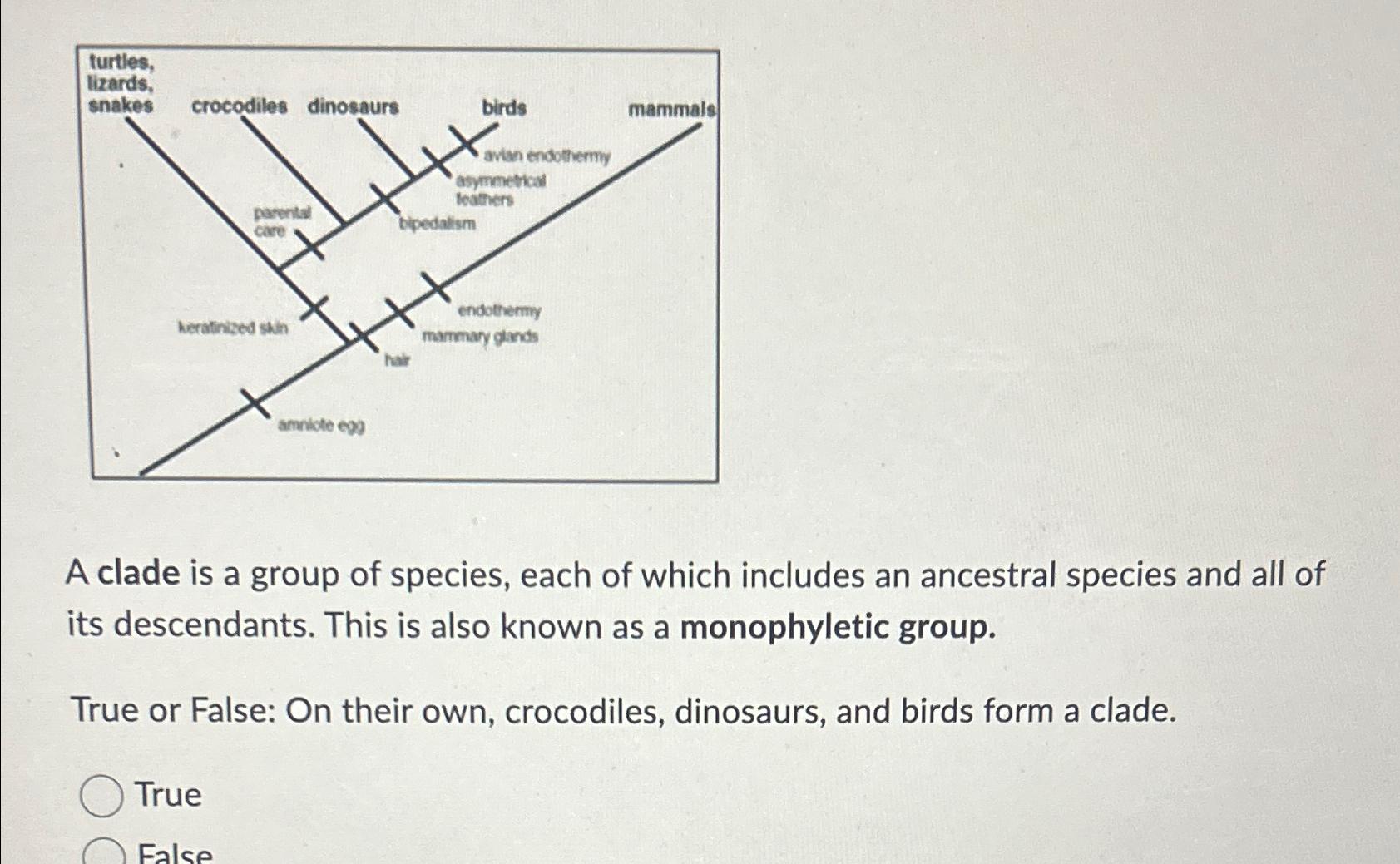 Solved A clade is a group of species, each of which includes | Chegg.com