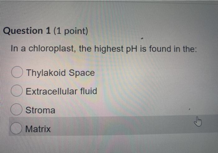 Solved Question 1 (1 point) In a chloroplast, the highest pH | Chegg.com