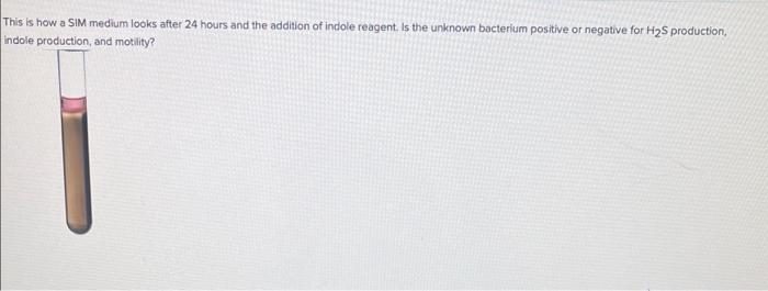 Solved This is how a SIM medium looks after 24 hours and the | Chegg.com