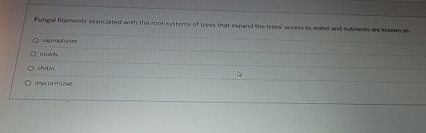 Solved Fungal filaments associated with the root systems of | Chegg.com