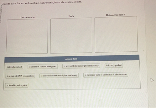 Solved Classify each feature as describing cuchromatin, | Chegg.com