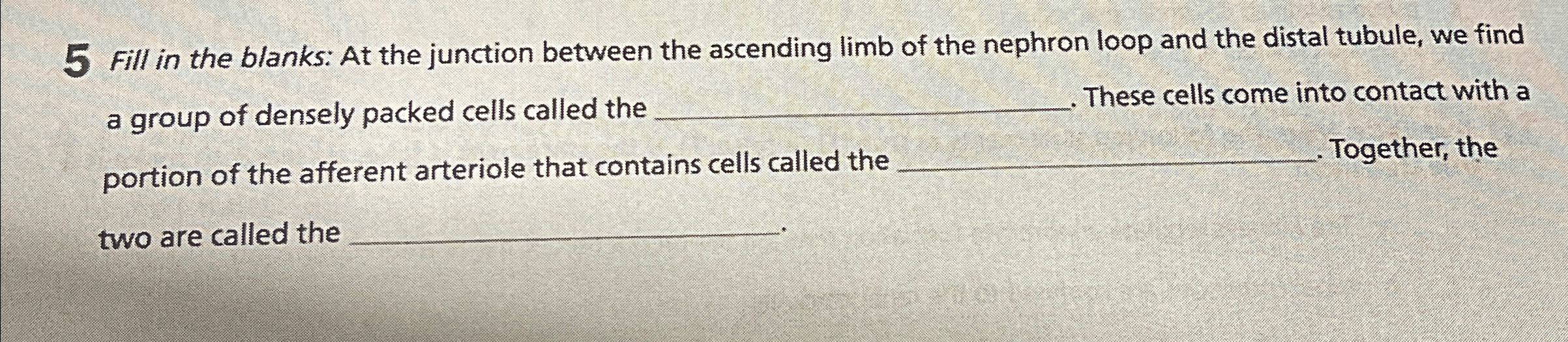 Solved 5 ﻿Fill in the blanks: At the junction between the | Chegg.com