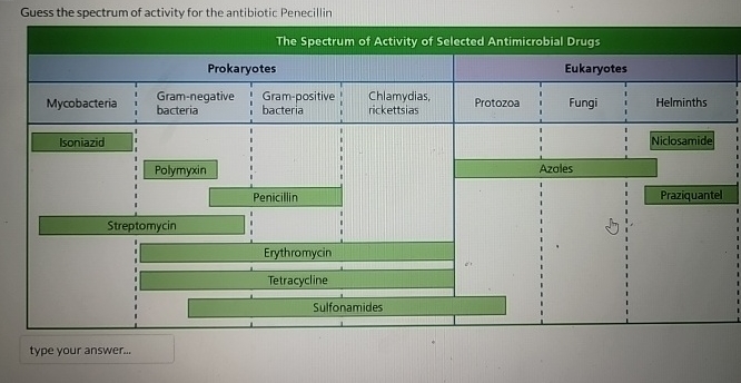 Solved Guess the spectrum of activity for the antibiotic | Chegg.com