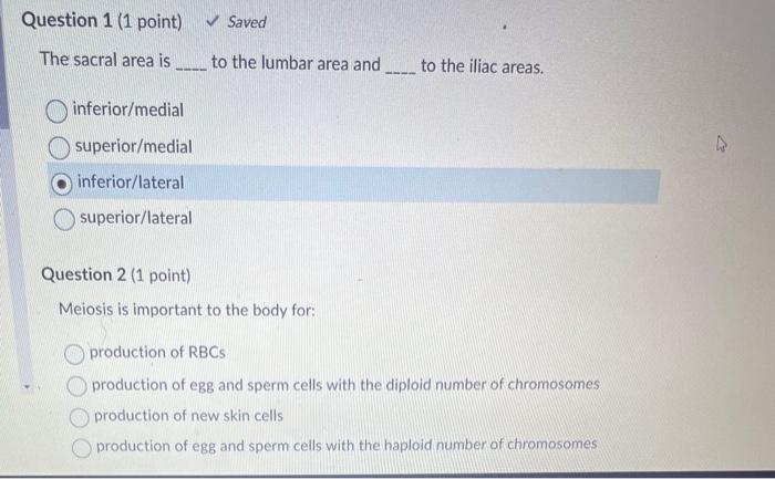 Solved The sacral area is to the lumbar area and to the | Chegg.com