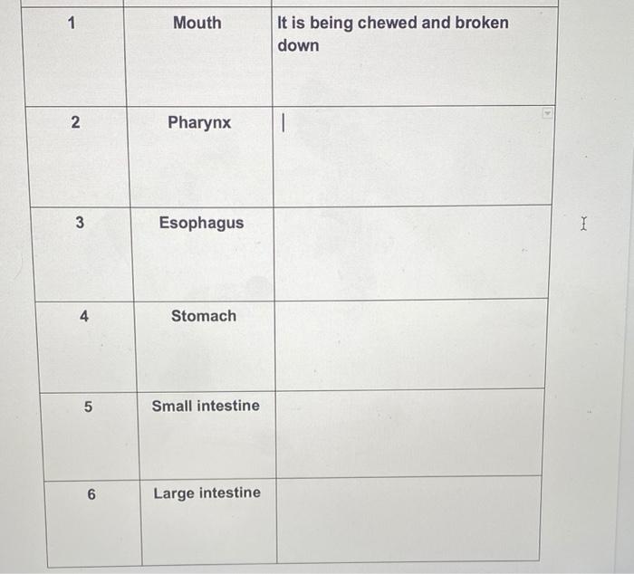 Solved Part I: Using the diagram below, follow your "bite of | Chegg.com