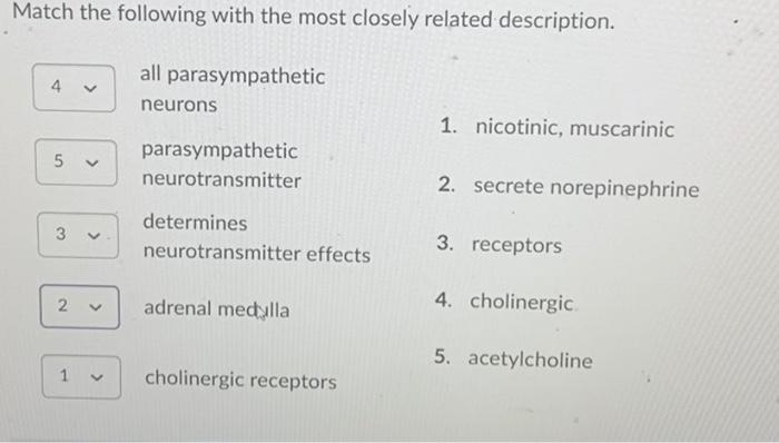 Solved Match the following with the most closely related | Chegg.com
