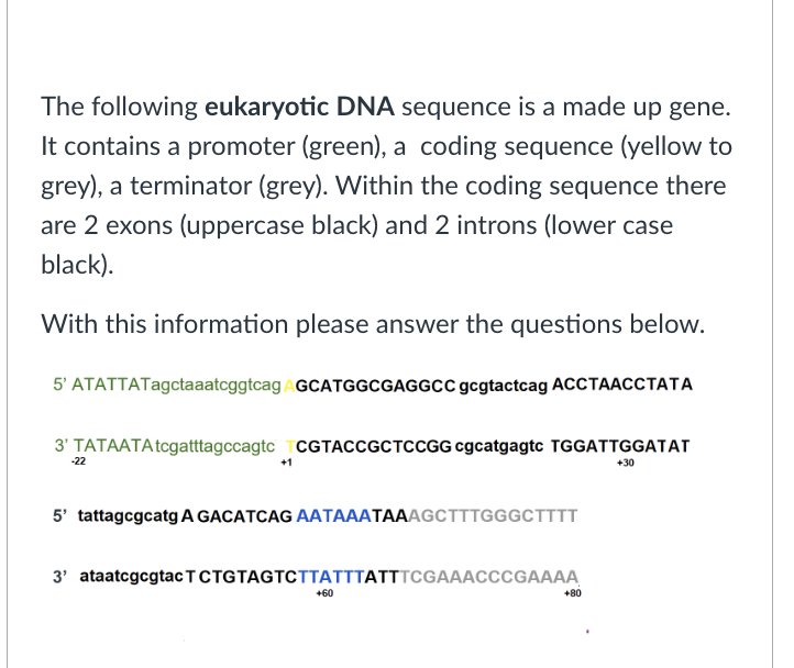 Solved LO27 ﻿Identify the coding and template strands of DNA | Chegg.com