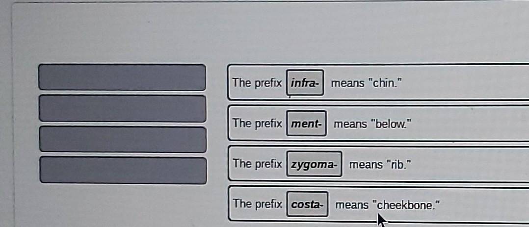 The prefix infra- means "chin." The prefix ment- | Chegg.com