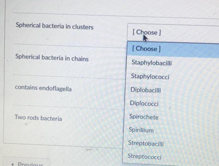 Solved Spherical bacteria in clusters [Choose ] [ Choose ] | Chegg.com