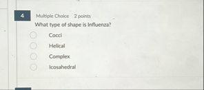 Solved Multiple Choice 2 ﻿pointsWhat type of shape is | Chegg.com