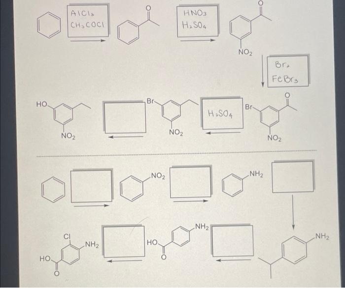 Solved HO. HO. AICIS CHOCOCI NO2 NH2 Br HNO3 H2SO4 NO2 H2SO4 | Chegg.com