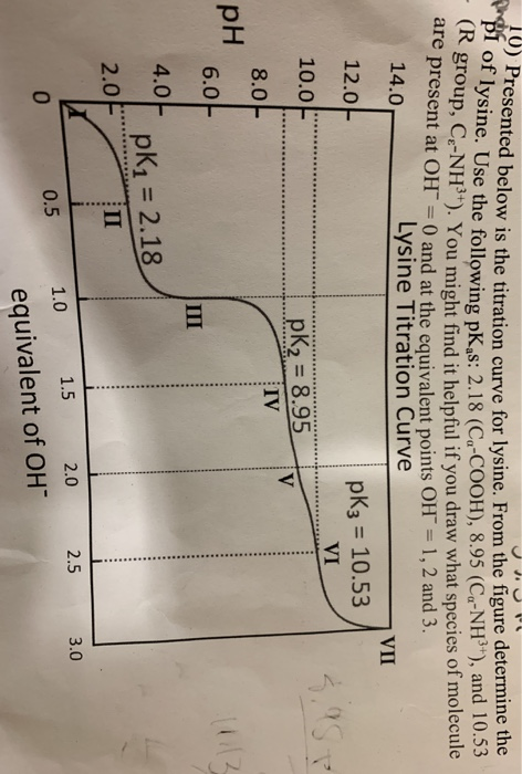 Solved pl of lysine. Use the following Fresented below is | Chegg.com