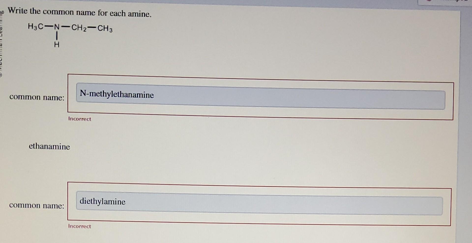 Solved Write the common name for each amine. common na | Chegg.com