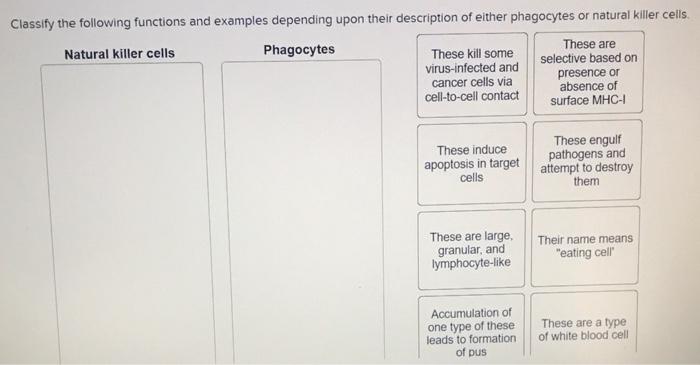 Solved Classify the following functions and examples | Chegg.com