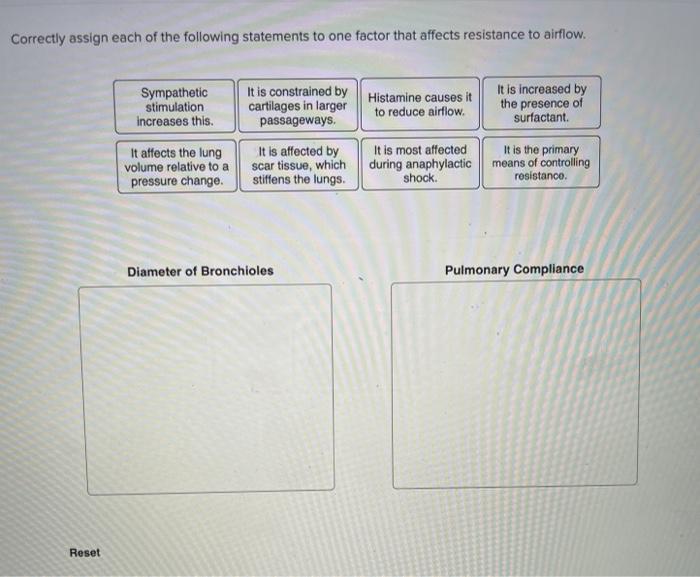 Solved Correctly assign each of the following statements to | Chegg.com