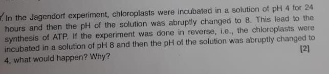 Solved In the Jagendorf experiment, chloroplasts were | Chegg.com