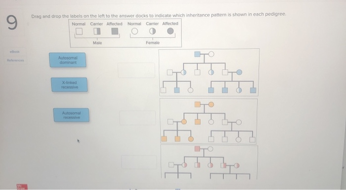 Solved 9 Drag and drop the labels on the left to the answer | Chegg.com