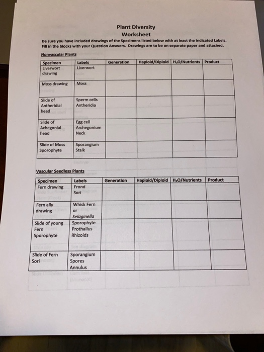 Solved Plant Diversity Worksheet Be sure you have included | Chegg.com