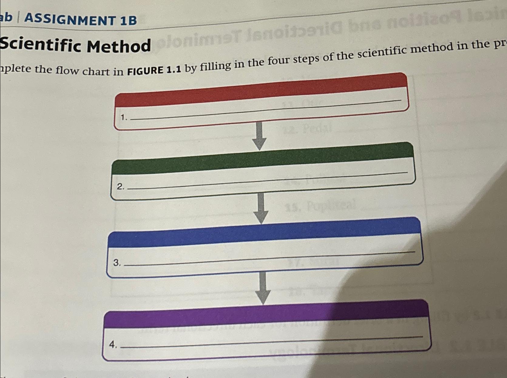 Solved b ASSIGNMENT 1BScientific Methodaplete the flow chart | Chegg.com Solved b ASSIGNMENT 1BScientific Methodaplete the flow chart | Chegg.com
