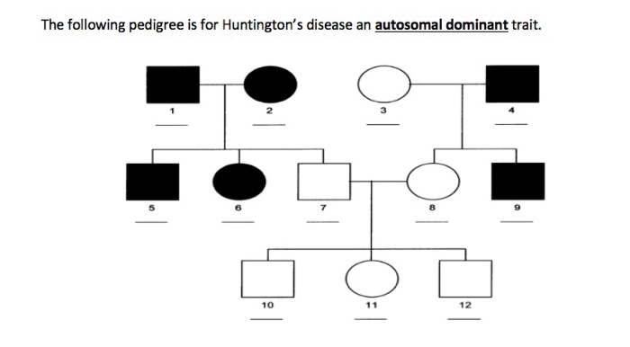 Solved The Following Pedigree Is For Huntingtons Disease An