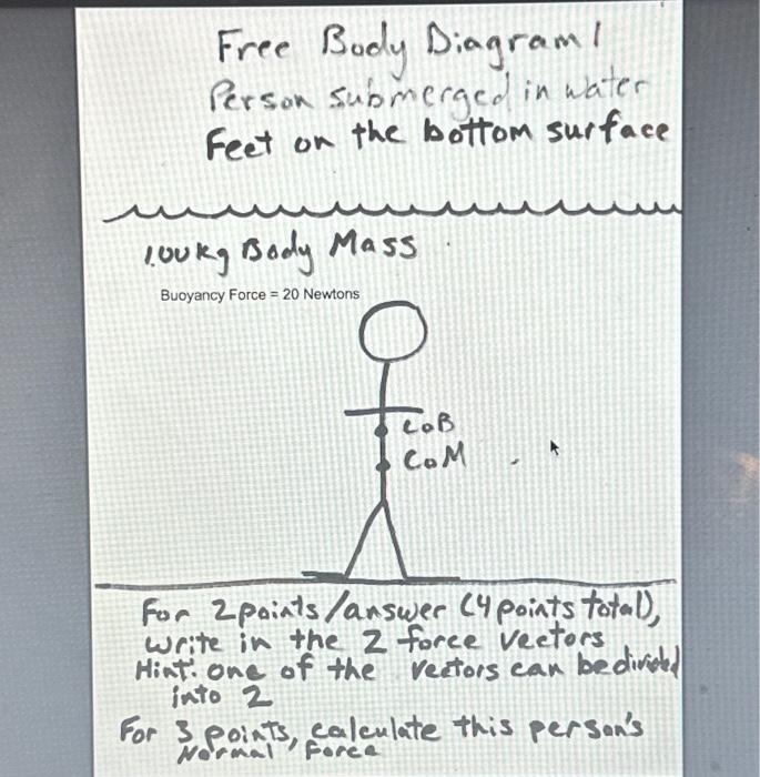 Solved Free Budy Diagram I Person submerged in water Feet on | Chegg.com