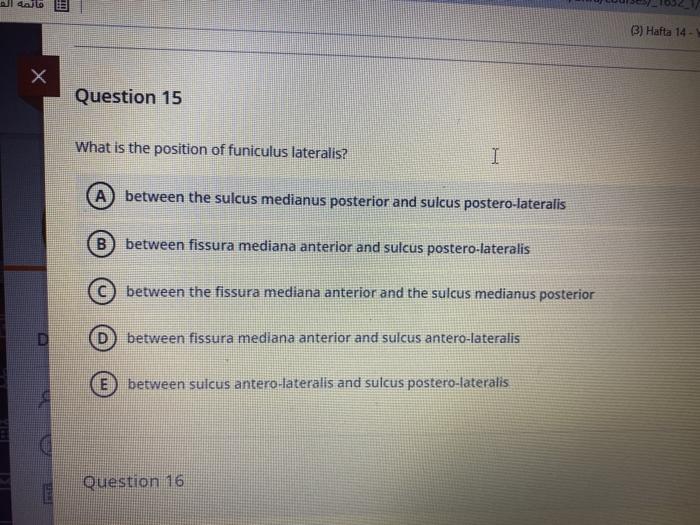 Solved قالمة اله (3) Hafta 14 Х Question 15 What is the | Chegg.com