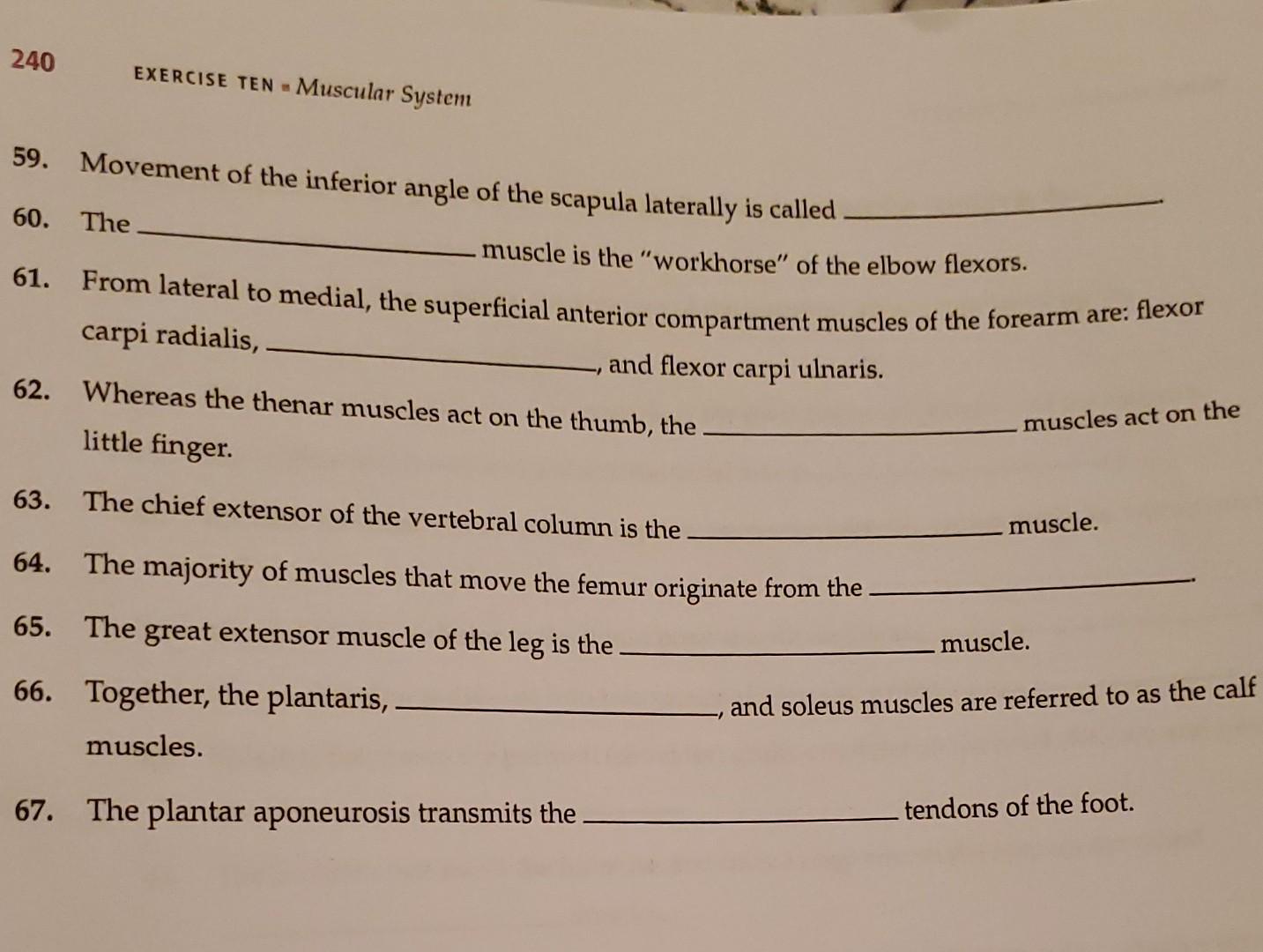 Solved ART 3 - Completion 3. The principal muscle used in | Chegg.com
