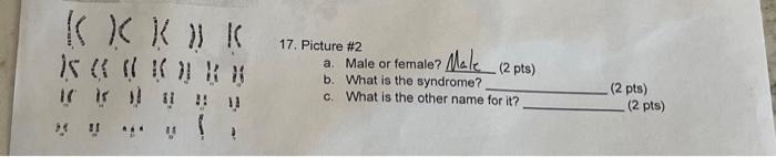 Solved use the karyotypes to answer the following questions | Chegg.com