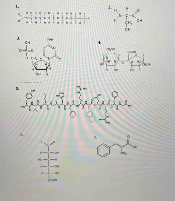 Solved name each of the structures ( the pictures/diagrams | Chegg.com