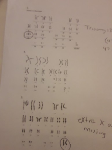 MODULE 2 LAB (Karyotypes) Activity Five karyotypes | Chegg.com