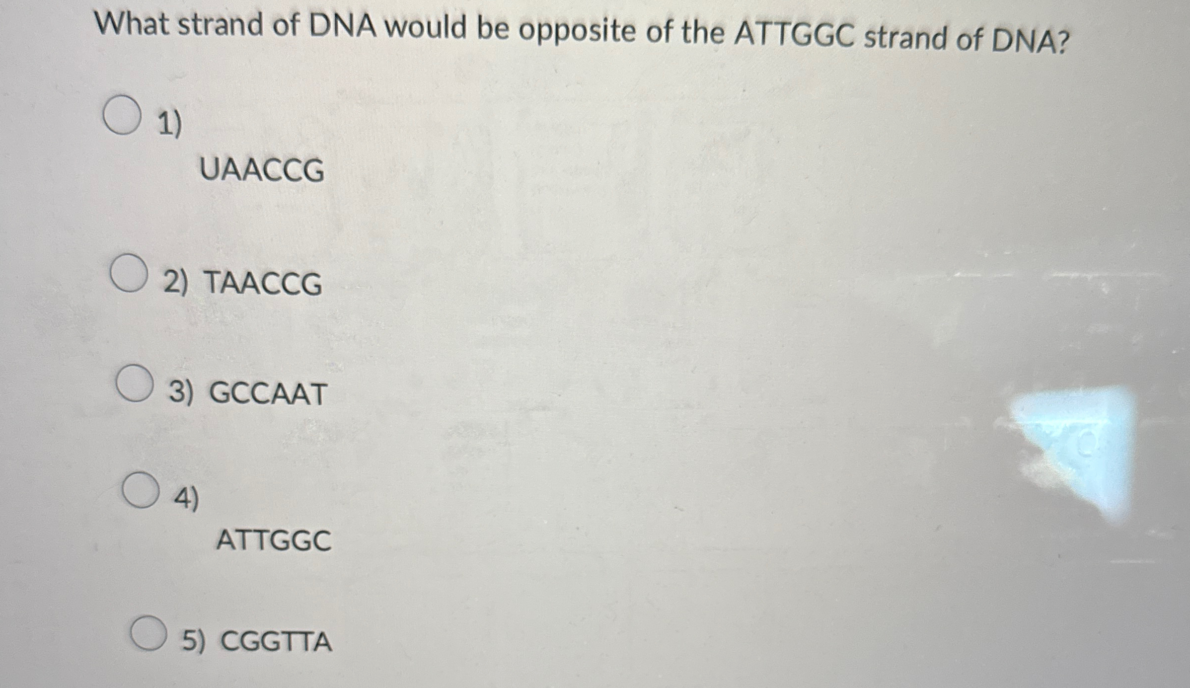 Solved What strand of DNA would be opposite of the ATTGGC | Chegg.com
